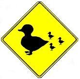 Duck Crossing Sign- W11-12 — Infrastructure Signs